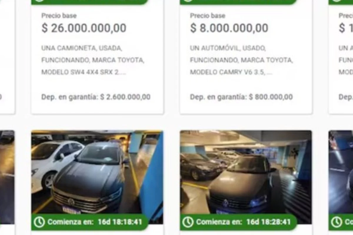 Diputados anunció que subastará 46 autos de su flota oficial | Diario ...