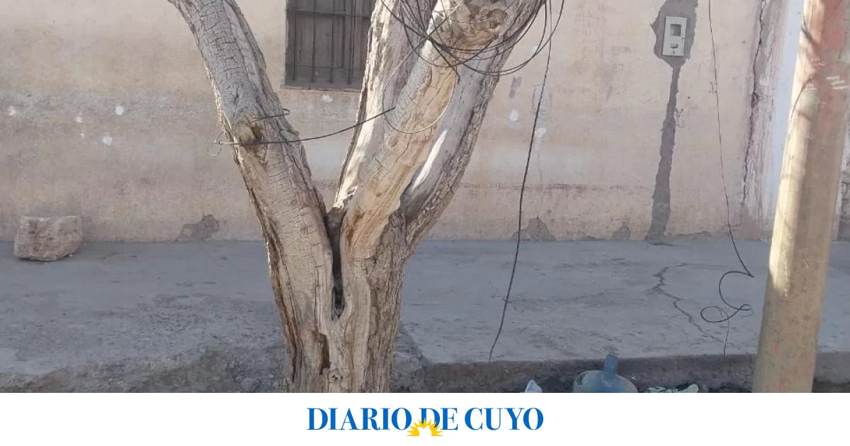 Una motociclista cayó del vehículo por un cable descolgado que se ...