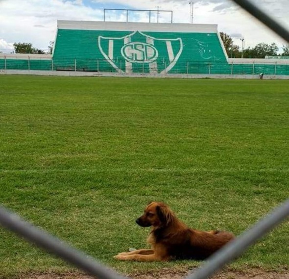 Tristeza en Puyuta por la muerte del “Carucha”, un personaje de ...