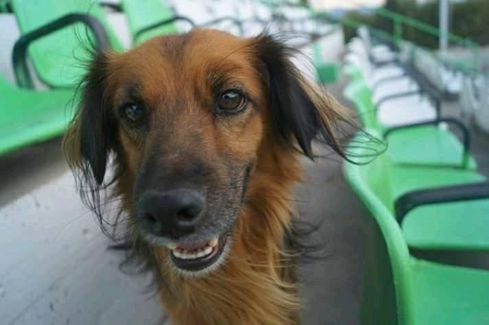 Tristeza en Puyuta por la muerte del “Carucha”, un personaje de ...