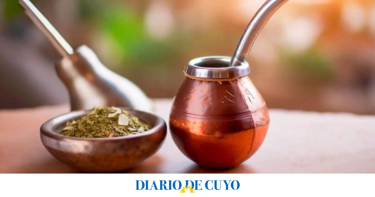 Cómo curar un mate: Pasos esenciales para disfrutar de un buen amargo ...