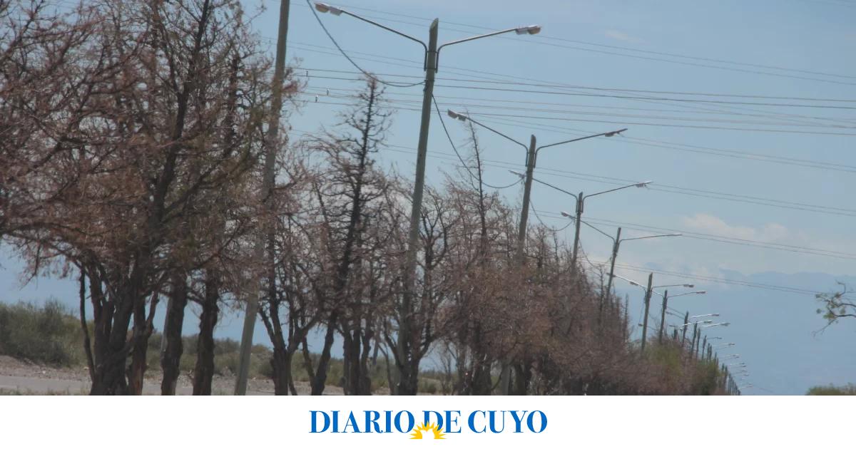 Con $616 millones, renuevan 5,5 km de luces en la Ruta 12, camino a los ...