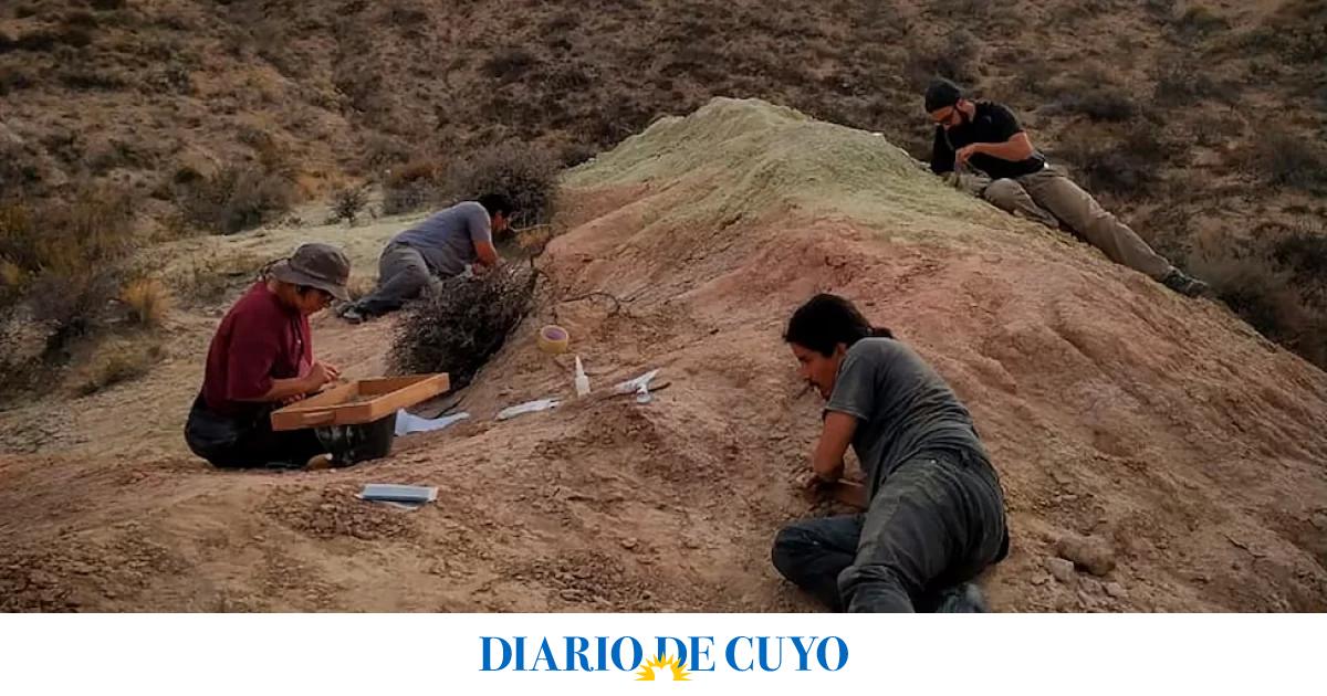 Después de mostrar el fondo del mar, el CONICET ahora transmite en vivo ...